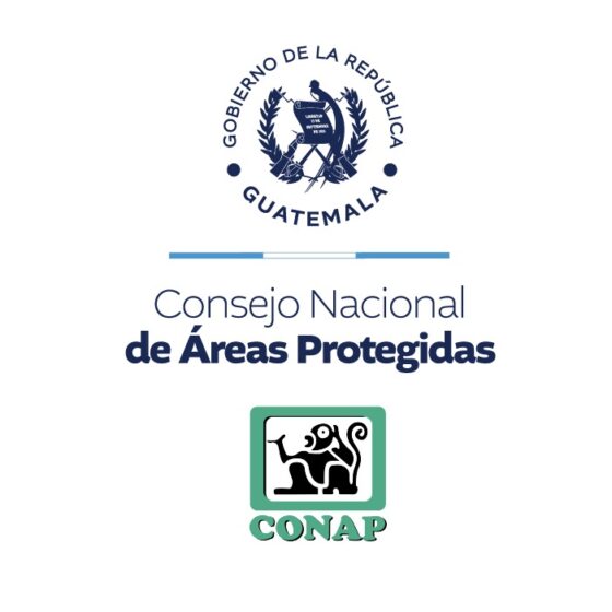 Pan American Trails